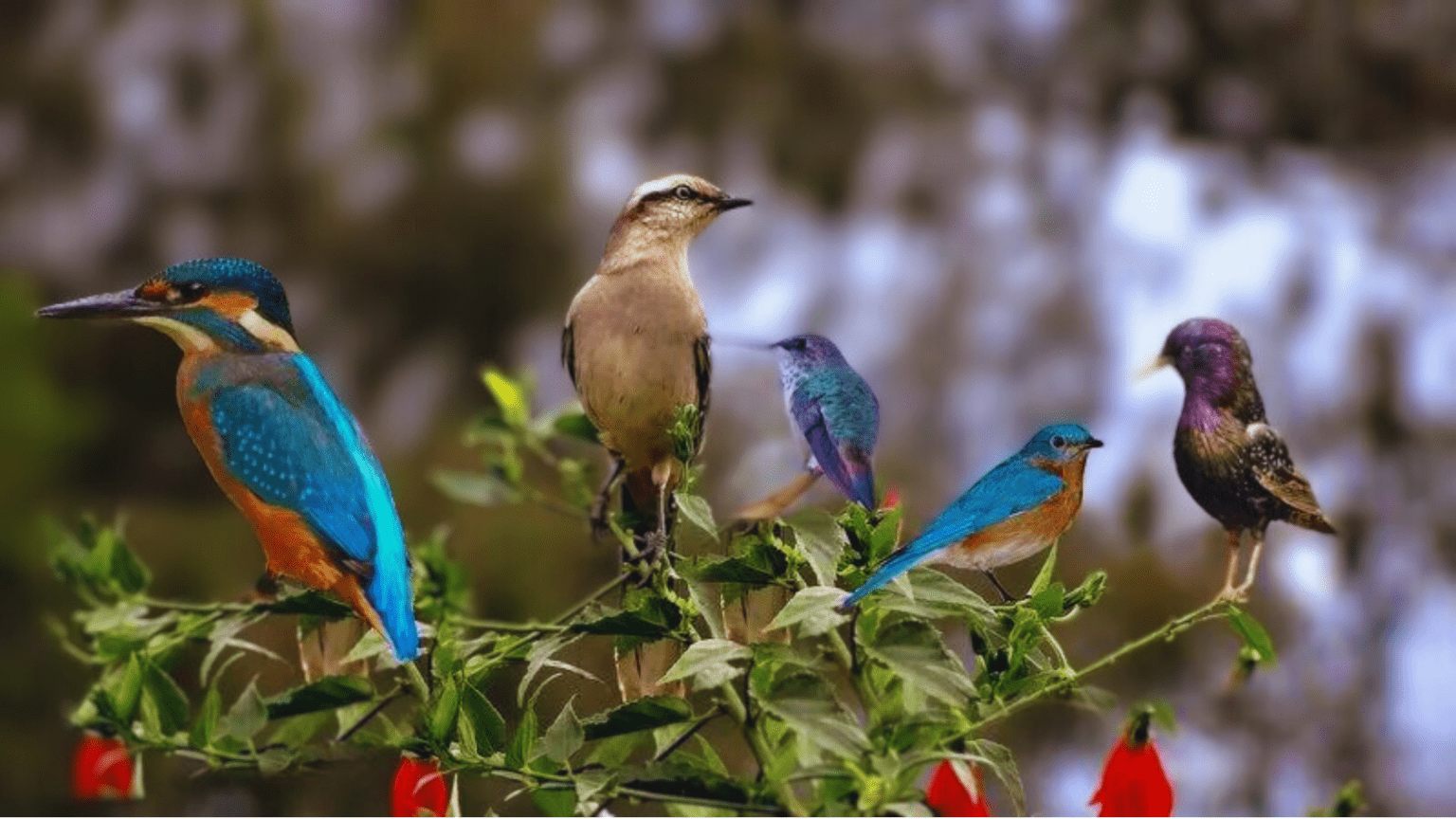 10 Astonishing Bird Symbols That Will Blow Your Mind! - Chirper Birds