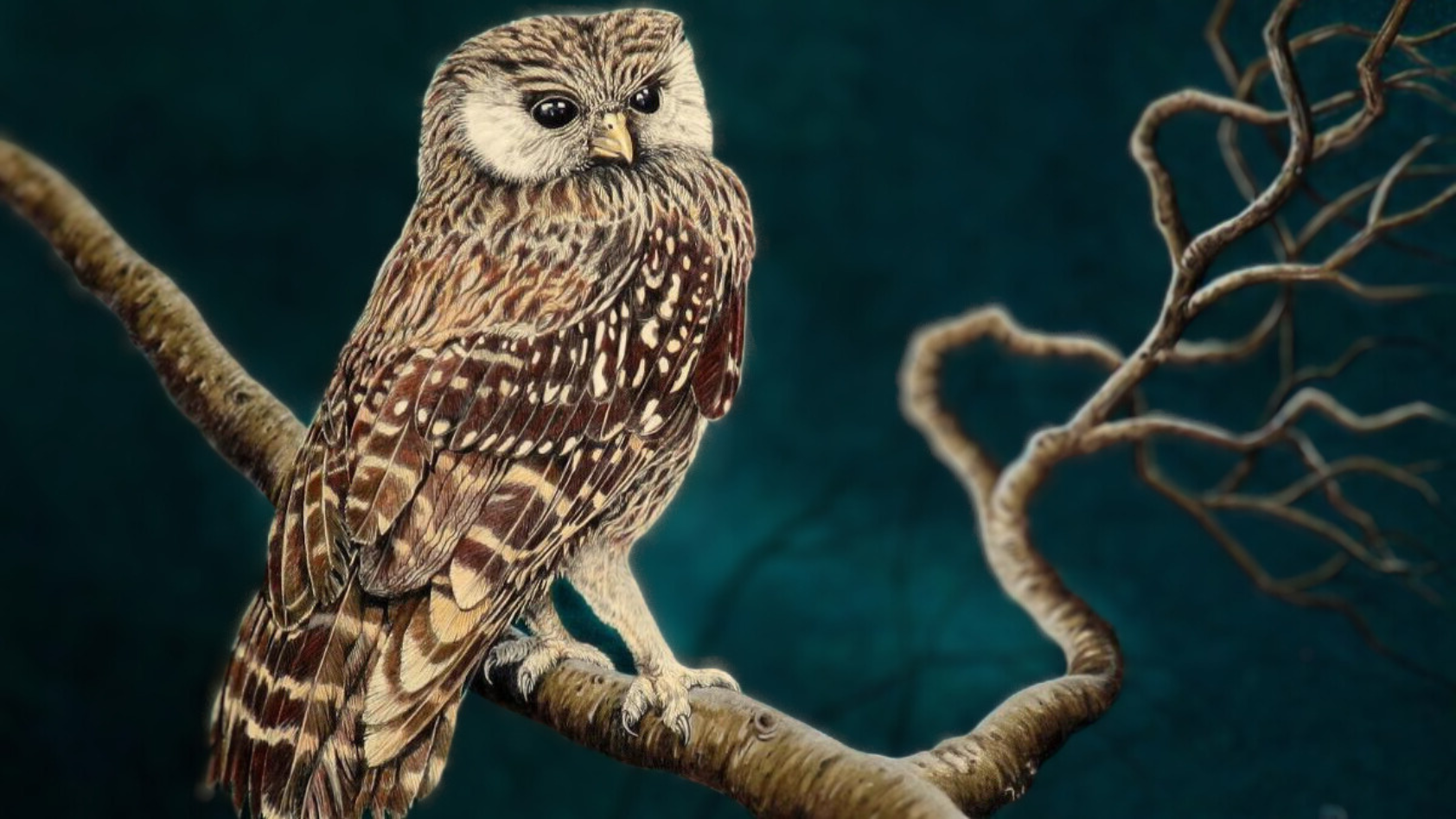 Birds That Bring Good Luck: Unveiling the 10 Mystery Birds - Chirper Birds