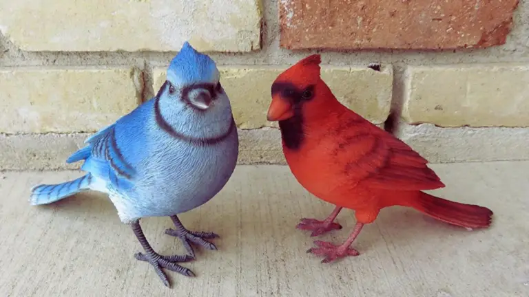 Blue Jay vs Cardinal: A Colorful Battle of 2 Birds - Chirper Birds