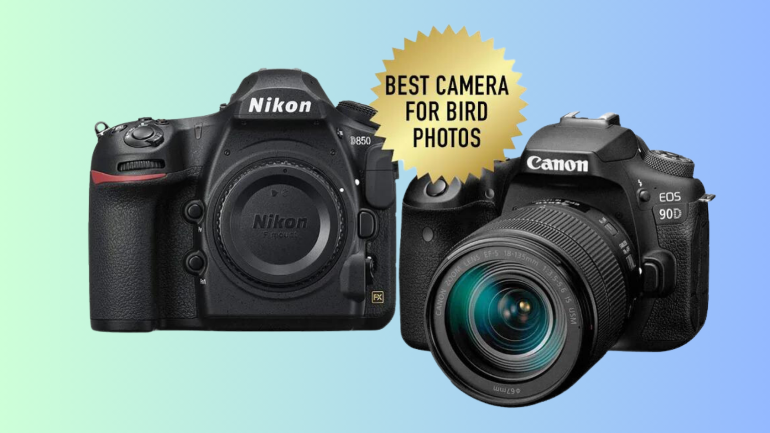 10 Best Birding Cameras: A Roundup of Top-Performing Options - Chirper ...